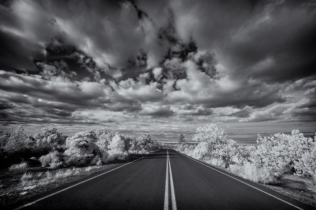 40 Inspiring Examples of Infrared Photography