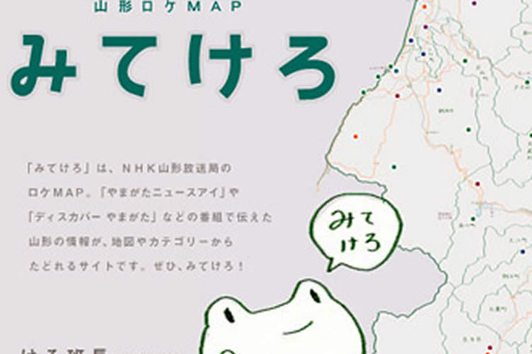 Examination of Japanese Website Design Trends