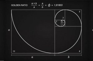 A Comprehensive Guide on the "Whys" of Site Optimization