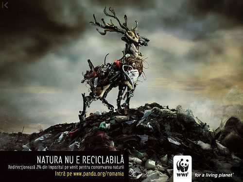 50 Powerful Examples of Advertising from the WWF
