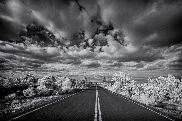 30 Beautiful Examples of Infrared Photography