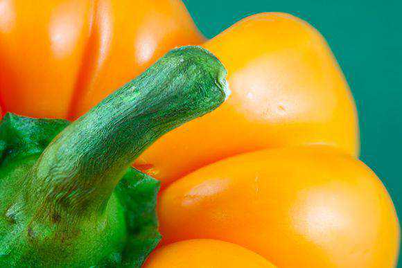 25 Stunning Examples of Super Macro Photography