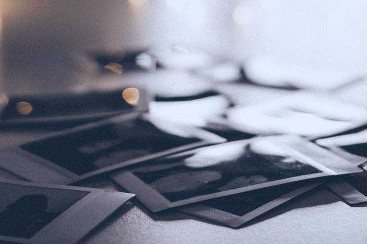 8 Best Free Media Library Wordpress Plugins — Speckyboy 0834