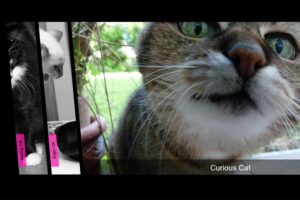 CSS Libraries, Toolkits, Snippets & Tutorials