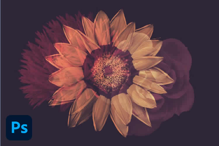 15+ Best Free Nature Brush Sets for Photoshop — Speckyboy
