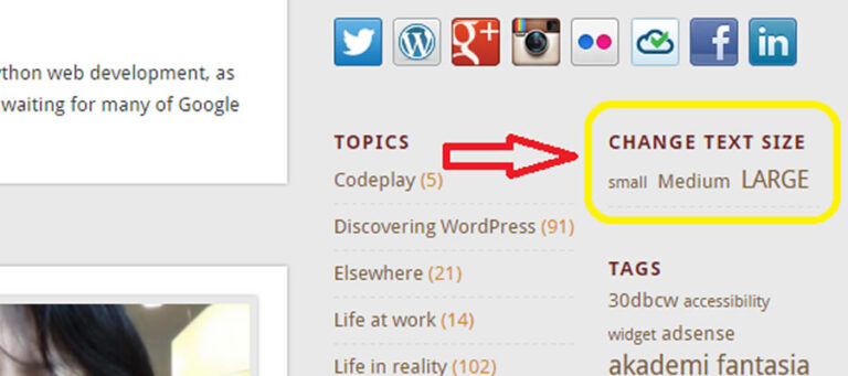 8 Best WordPress Plugins for Improving Website Accessibility in 2026 ...